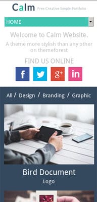 Calm a Flat Personal Portfolio & Blog Responsive Web Template by w3layouts