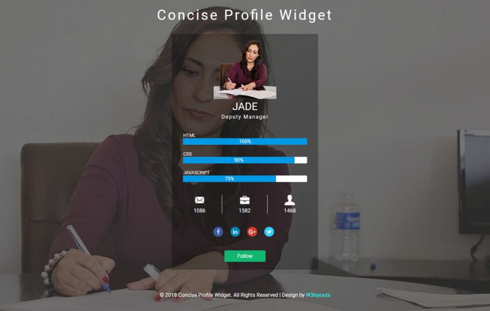 Concise Profile Widget Responsive Widget Template